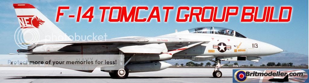 F-14 Tomcat II Single Type Group Build - Future Group Build Archives ...