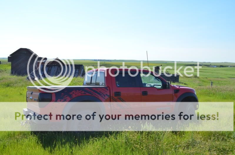 Orange Ford Raptor - It all started with you, show yourselfs!!!! | Page ...