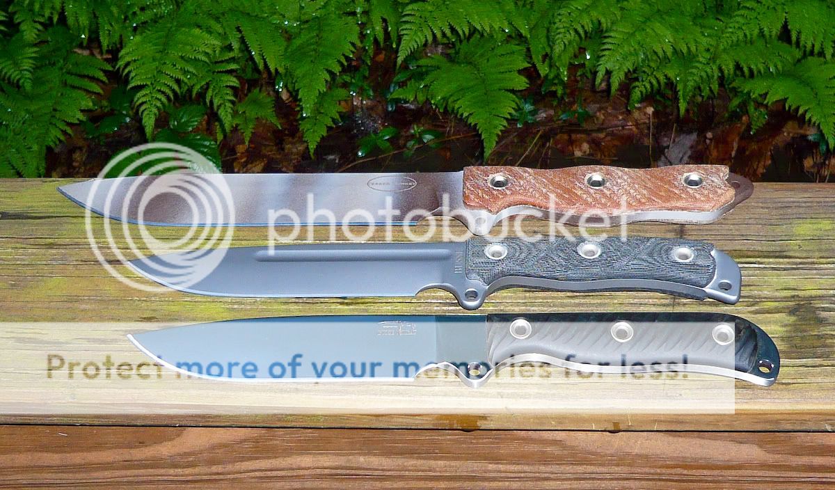 A question about the DSF | BladeForums.com