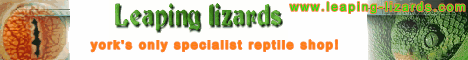 Leaping Lizards New Shop!!! | Reptile Forums